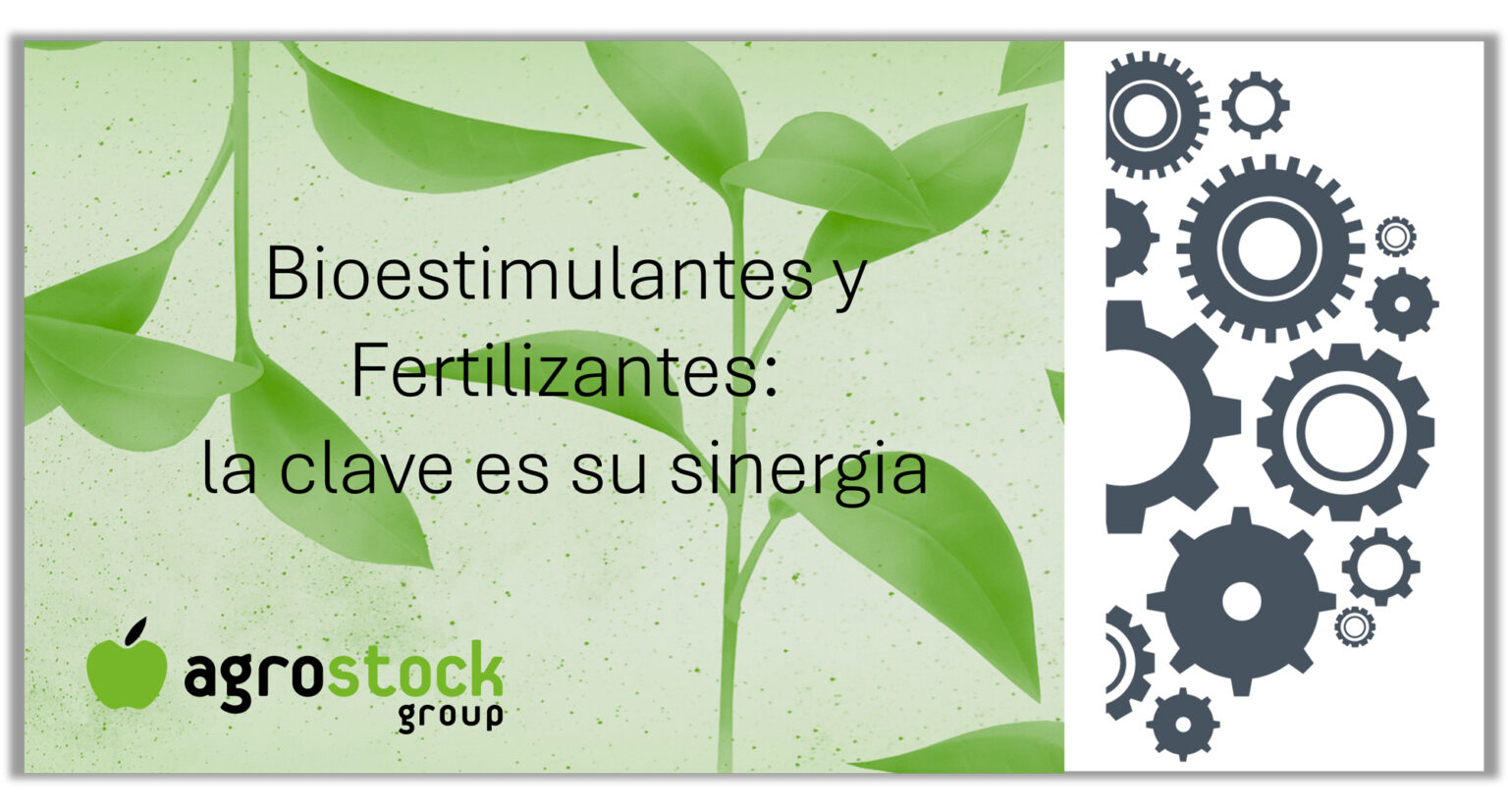 Bioestimulantes y Fertilizantes: la clave es su sinergia | Agrostock 🍏